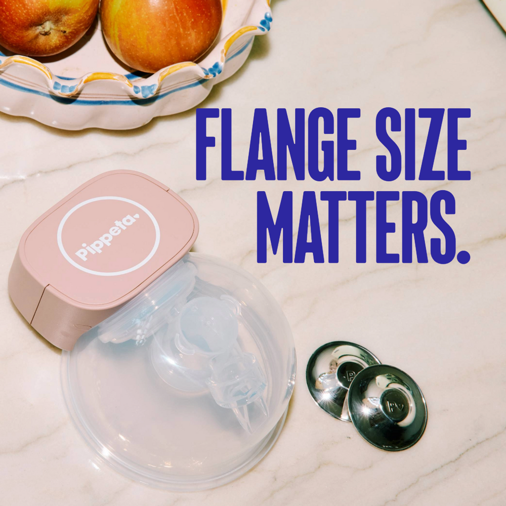 Pippeta’s Updated Guide to Choosing the Right Flange Size